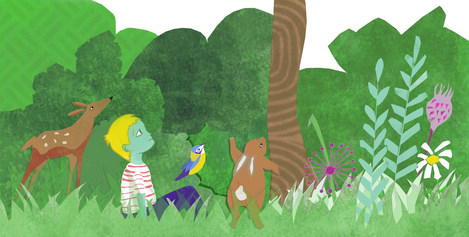 What’s On – Rhyl Pavilion