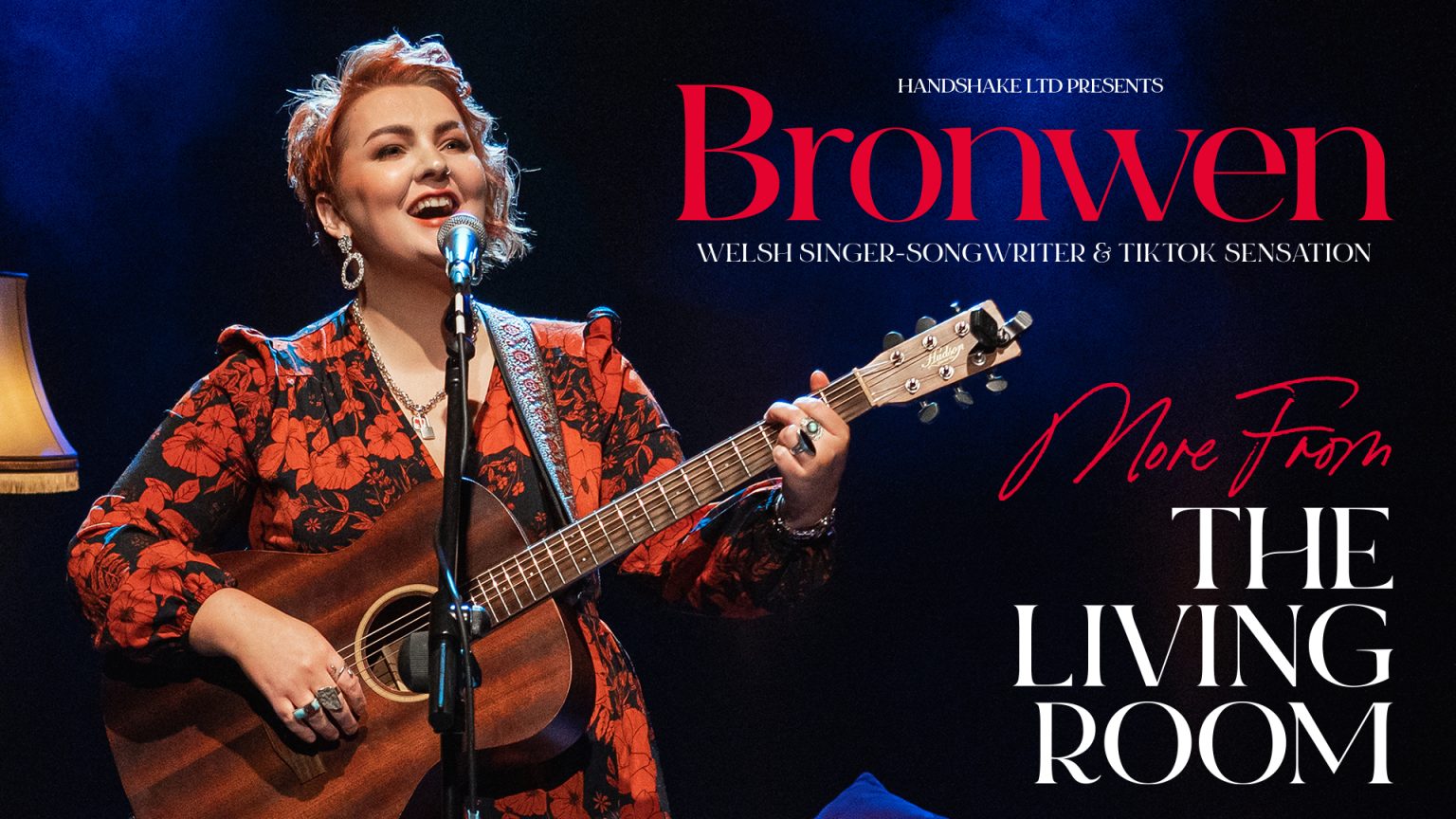 Bronwen Lewis 2023 – ‘More From The Living Room’ – Rhyl Pavilion